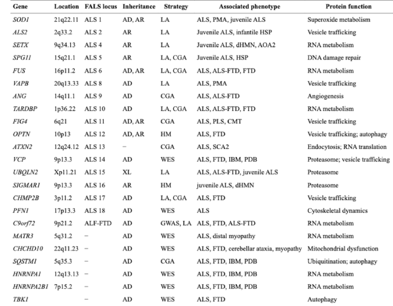 Amyotrophic Lateral Sclerosis (ALS) - Neuropedia