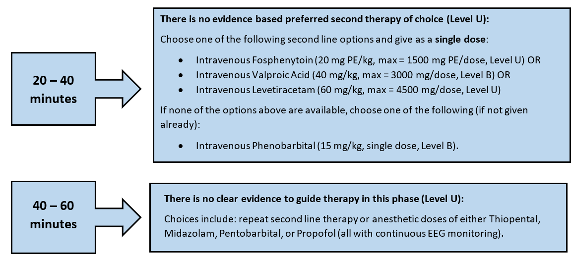 Status Epilepticus (SE) - Neuropedia