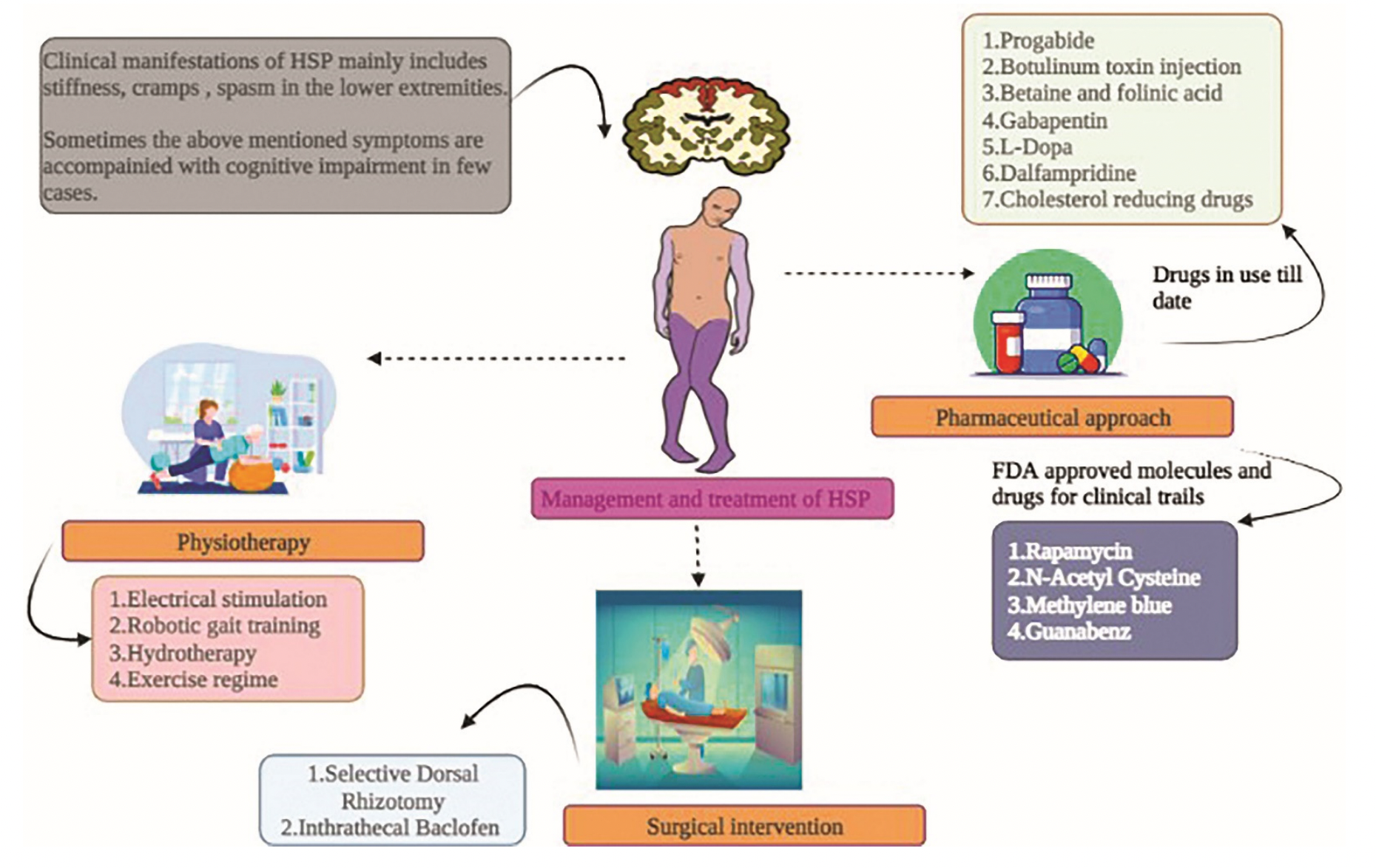 Hereditary Spastic Paraplegia - Neuropedia